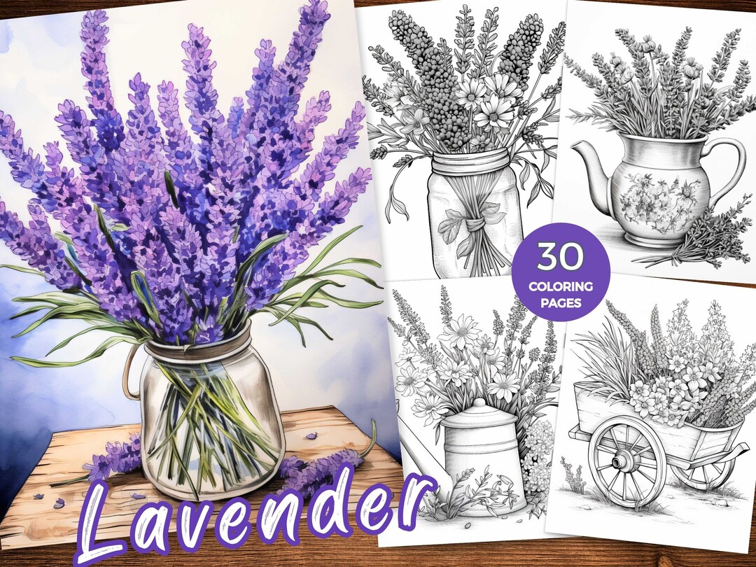 Lavender Coloring Pages Summer Flowers for Adults Instant Download ...