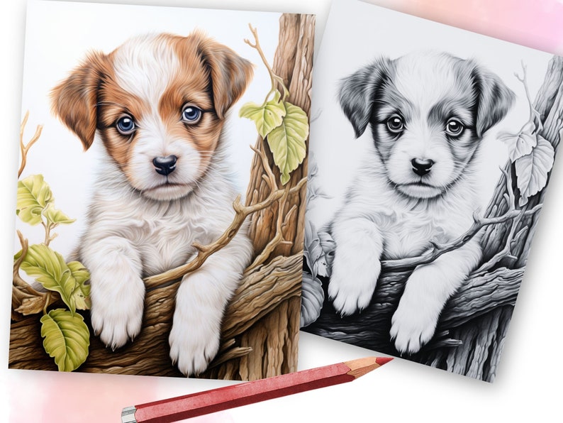 Cute Baby Animals Grayscale Coloring Pages Printable Adult - Etsy