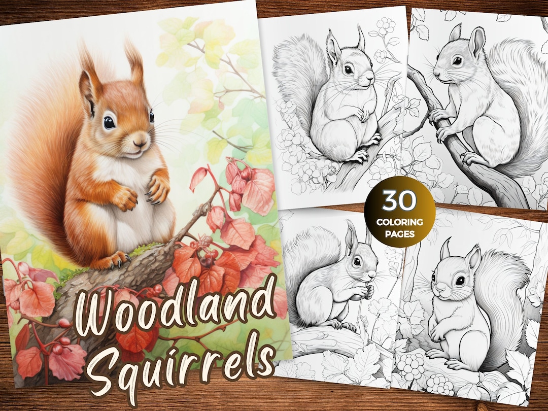 Squirrel Coloring Pages Printable Cute Squirrel Coloring Page Squirrel ...