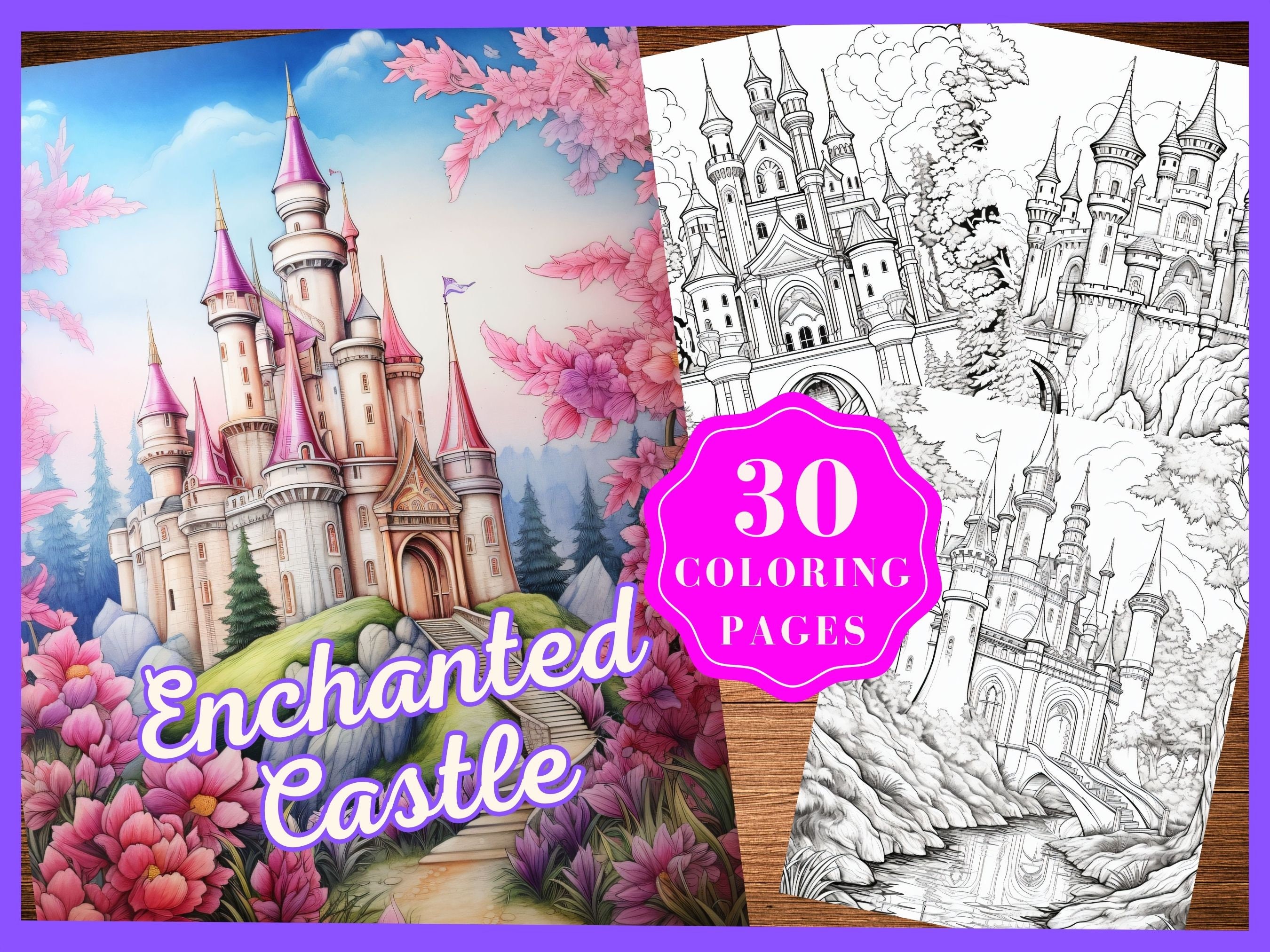 Castle Coloring Pages for Adultscastle Coloring - Etsy