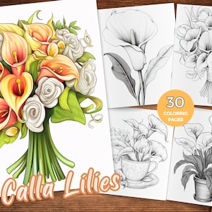 Calla Lily Coloring Pages for Adults Instant Download Coloring Sheets ...