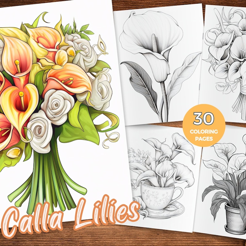 Calla Books - Etsy