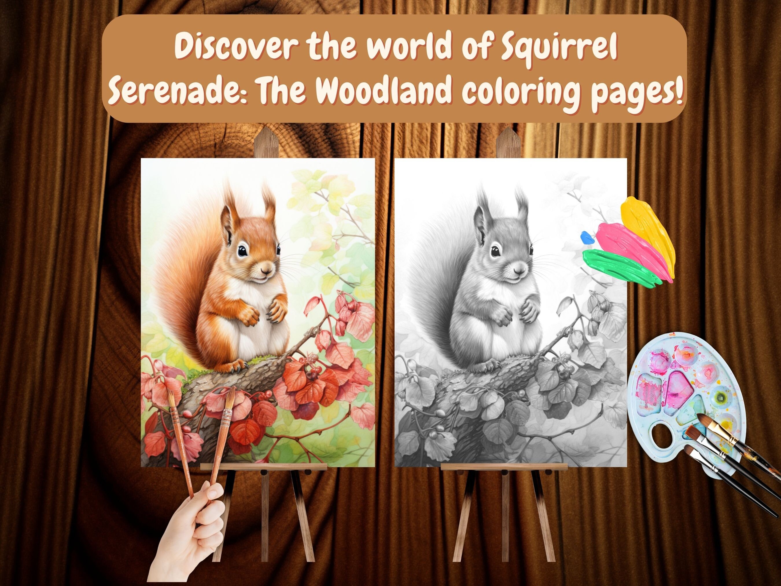 Squirrel Coloring Pages Printable Cute Squirrel Coloring Page - Etsy