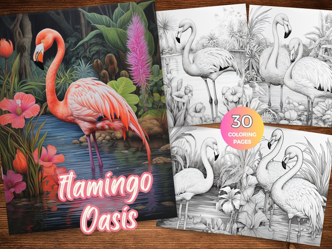Flamingo Oasis Coloring Pages Tropical Birds Coloring Sheet Feathers of ...