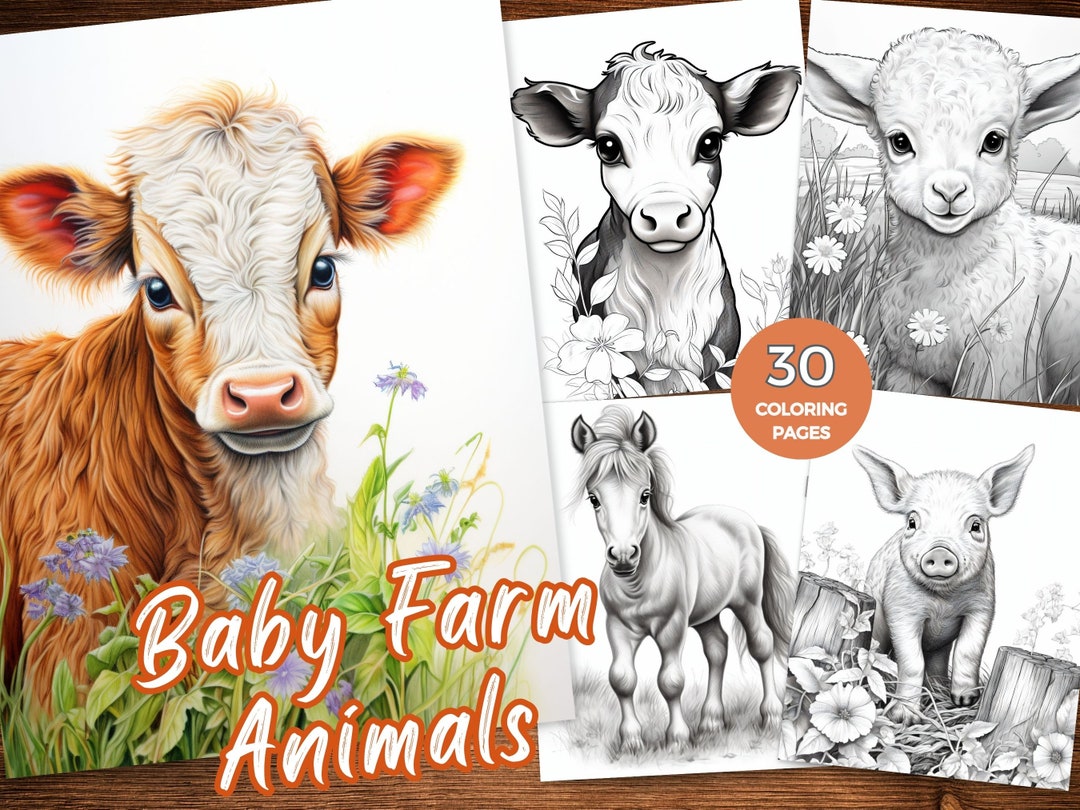 Farm Animal Coloring Sheets Baby Farm Animal Coloring Pages Pdf Farm ...