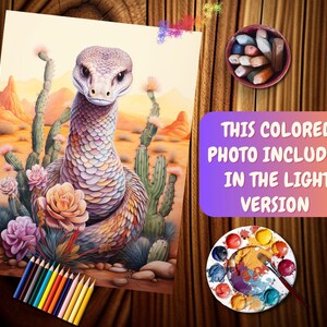 Desert Animals Coloring Pages Arizona Desert Animals Coloring Picture ...