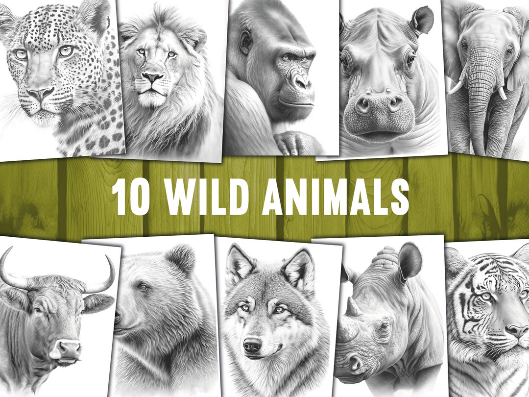 10 Wild Animals Coloring Book Collection - Etsy
