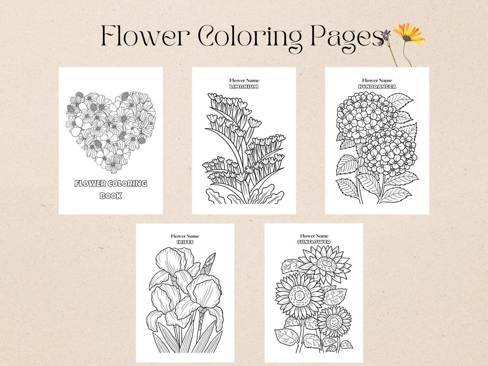 Printable Adult Flower Coloring Pages Flower Coloring Pages - Etsy