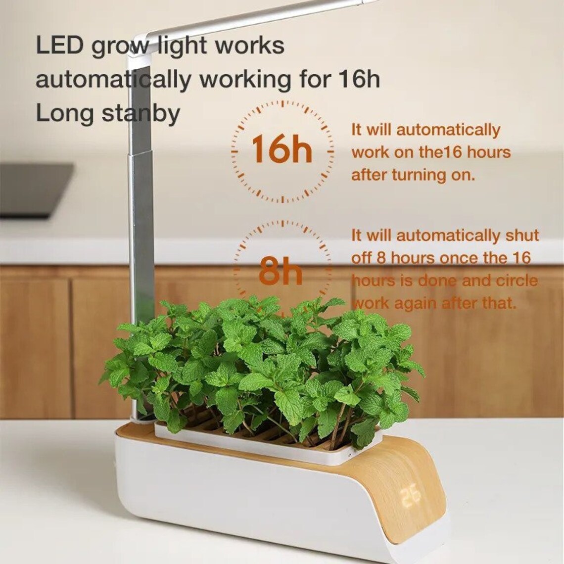 Soilless Cultivation Equipment Intelligent Indoor Garden Hydroponic Box ...