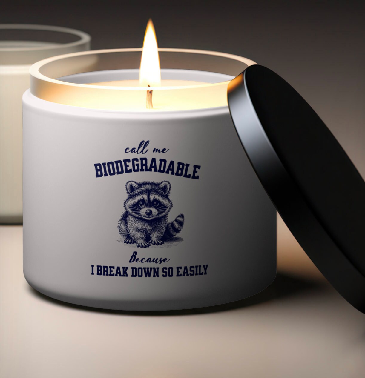 Call Me Biodegradable Because I Break Down so Easily Png, Funny ...