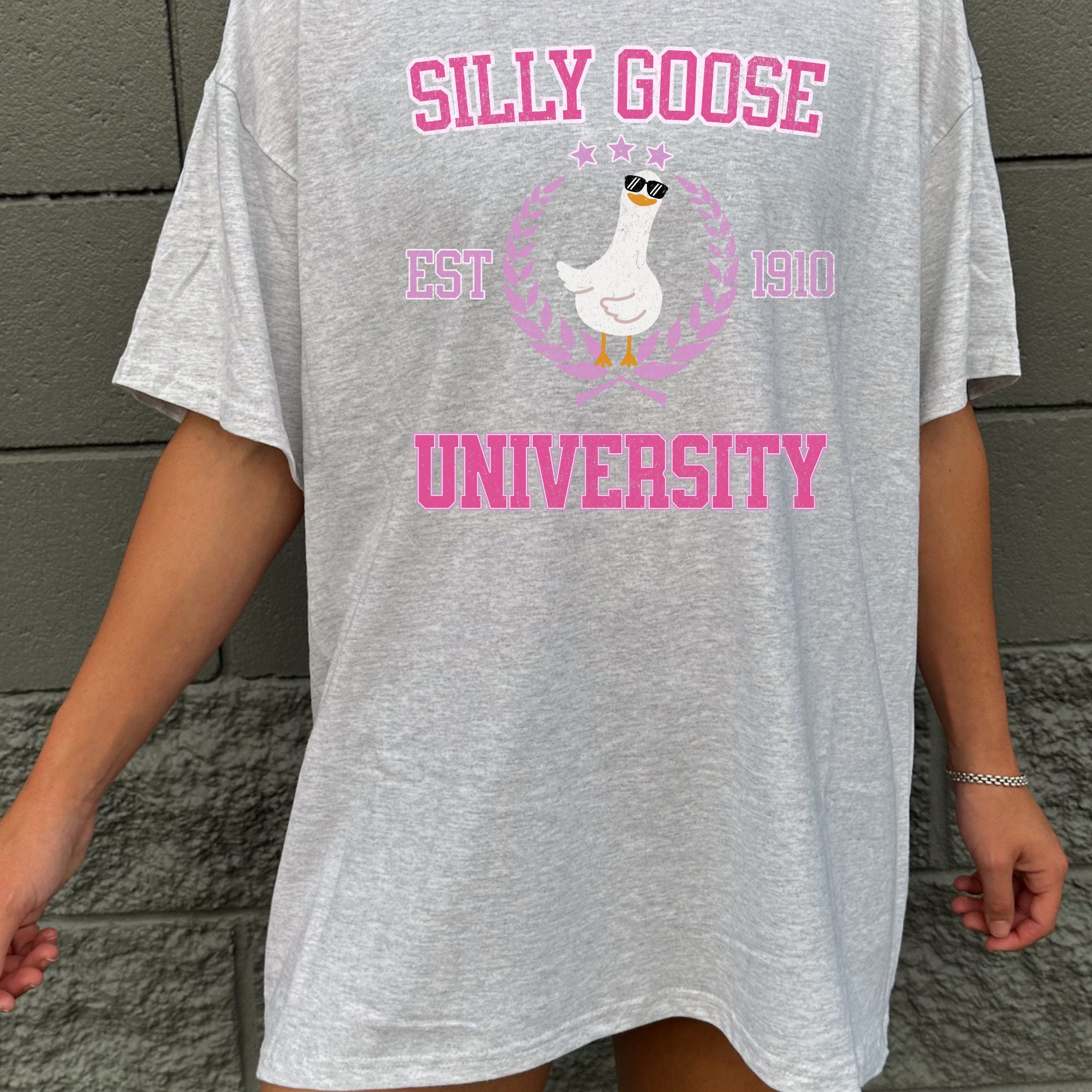 Stylish Silly Goose University Png, Pink Silly Goose College Png, Silly ...