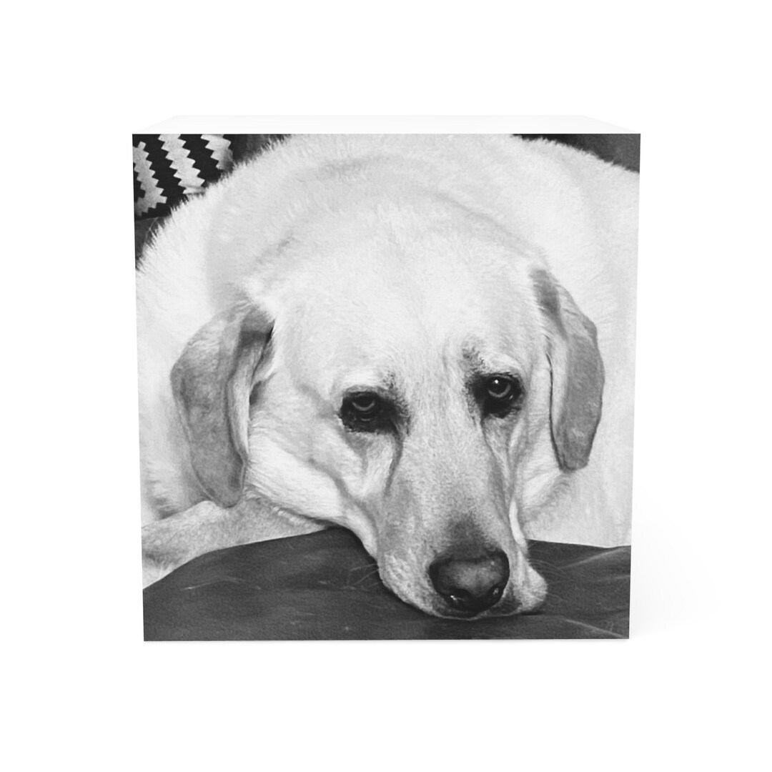 Labrador Note Cube - Etsy