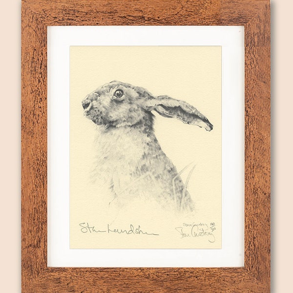 Hare Drawing - Etsy UK
