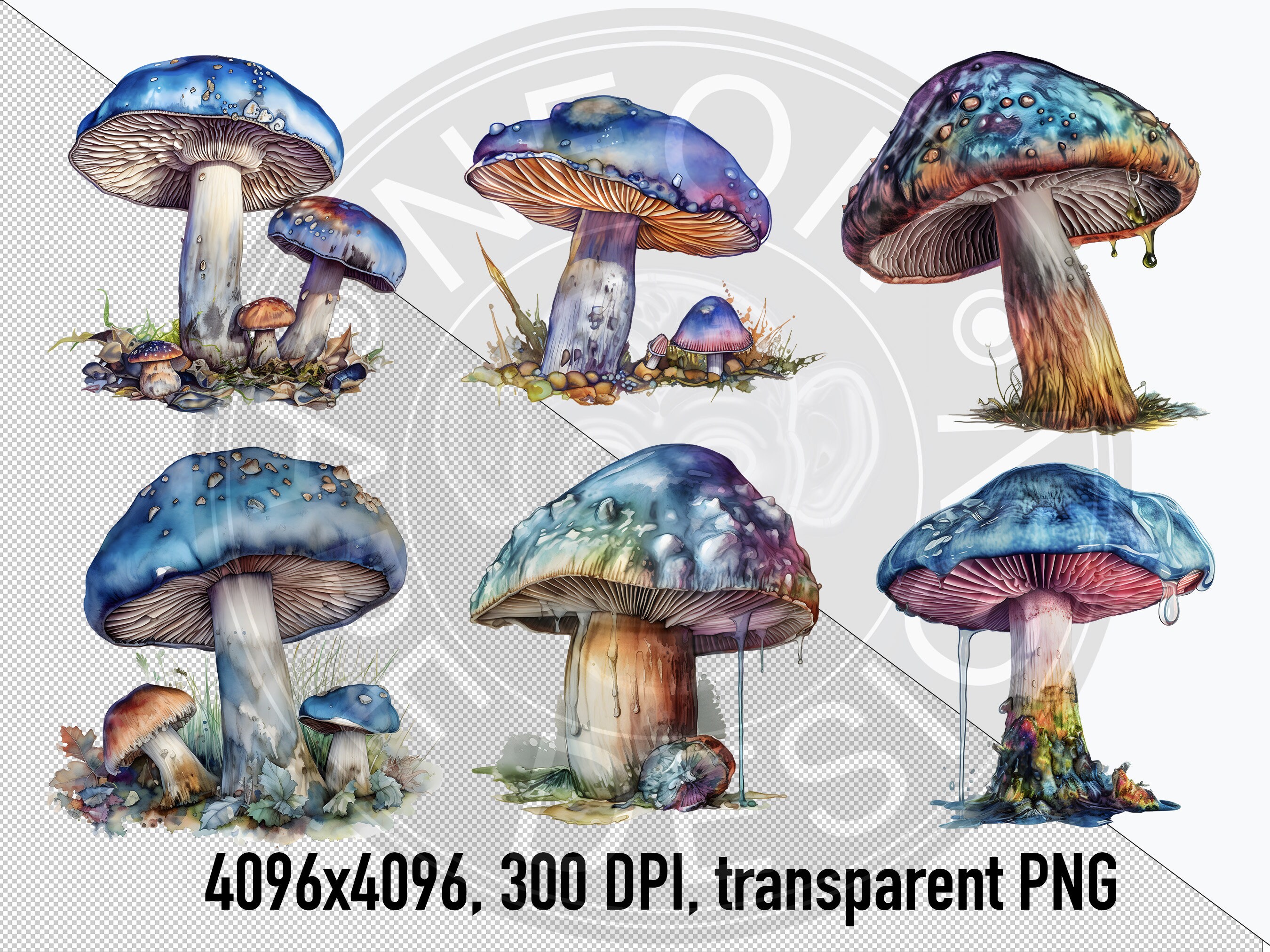 42 Funky Fungi Mushroom Clip Art, Transparent PNG, Commercial Use ...