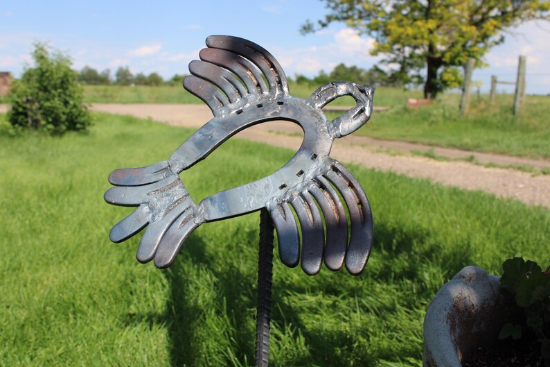 Horseshoe Bird - Etsy