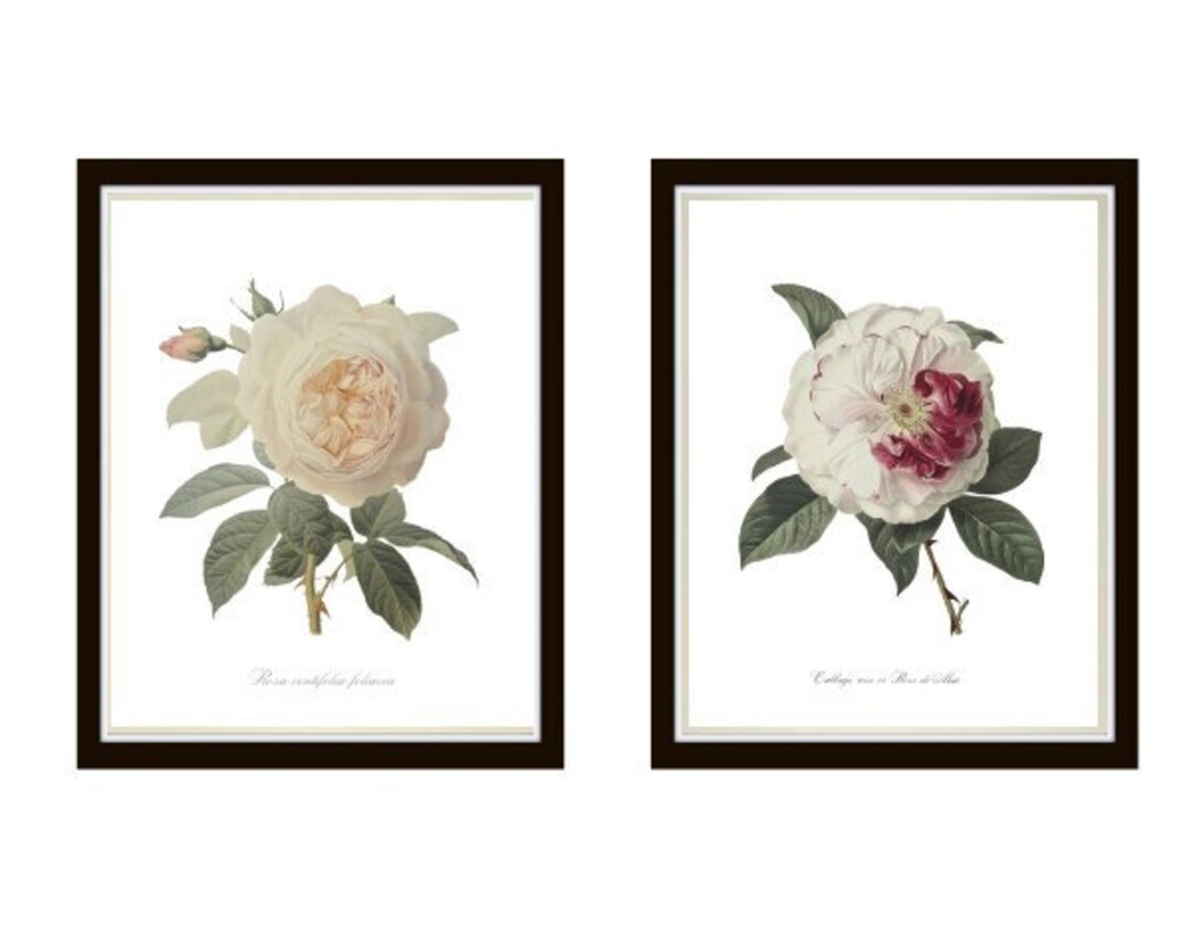 Vintage Botanical Collage Print Set , Botanical, Print Set, Wall Art ...