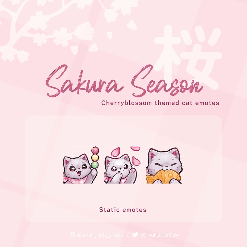 Cat Discord Banner - Etsy