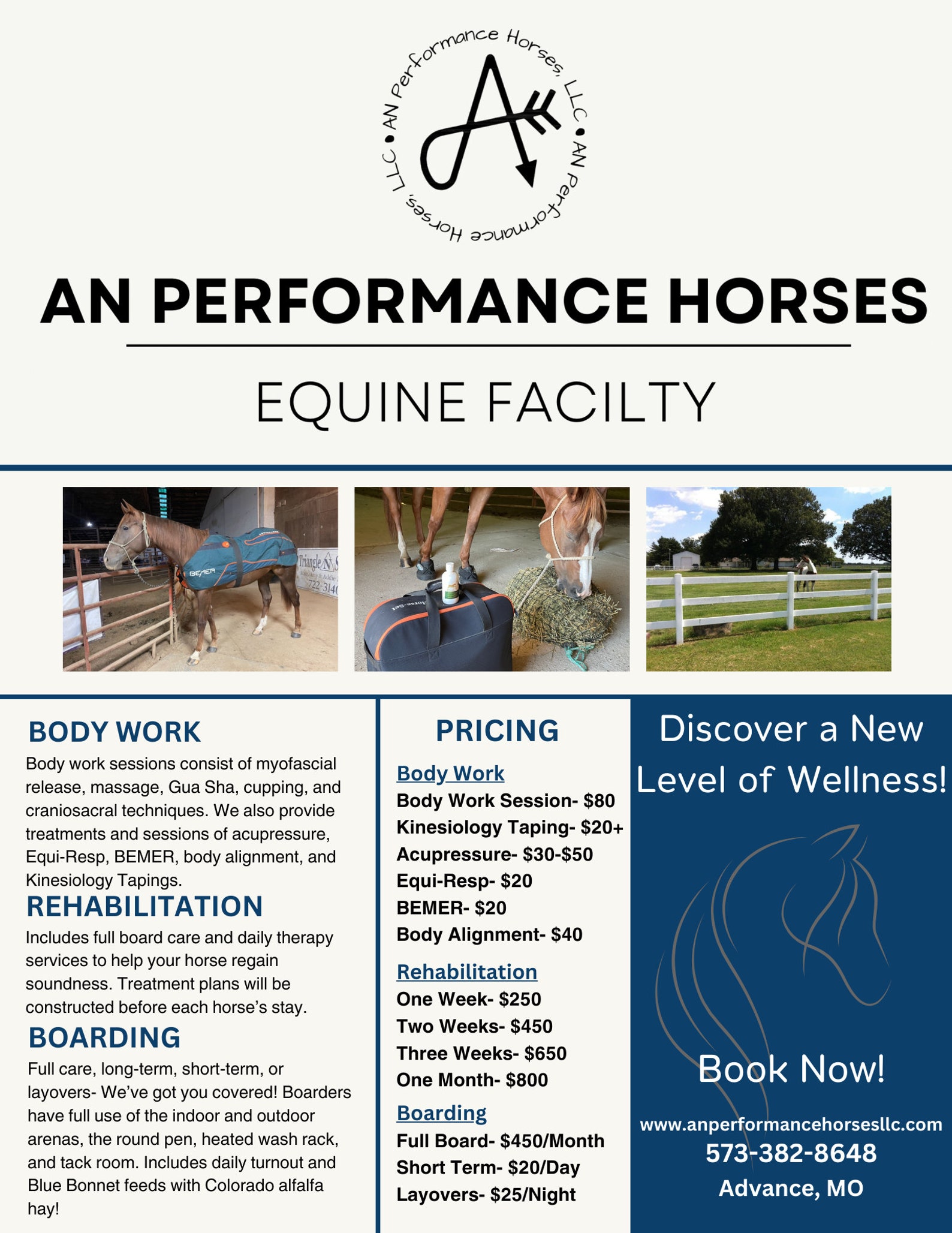 Custom Equine Business Flyer - Etsy