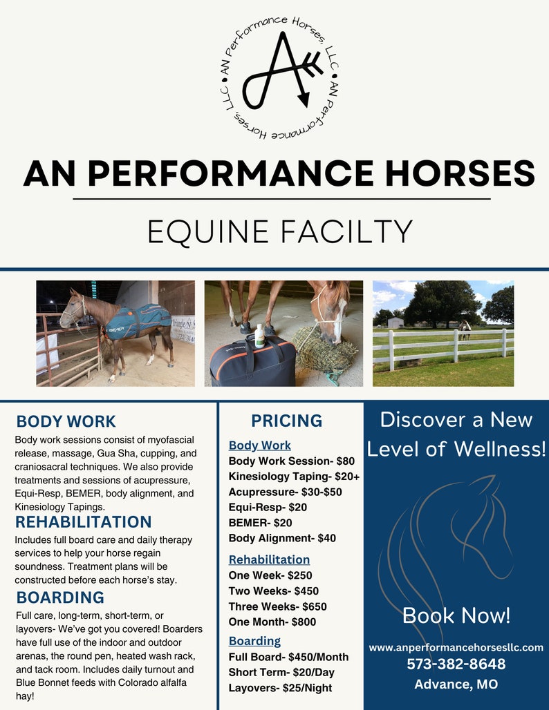 Custom Equine Business Flyer - Etsy