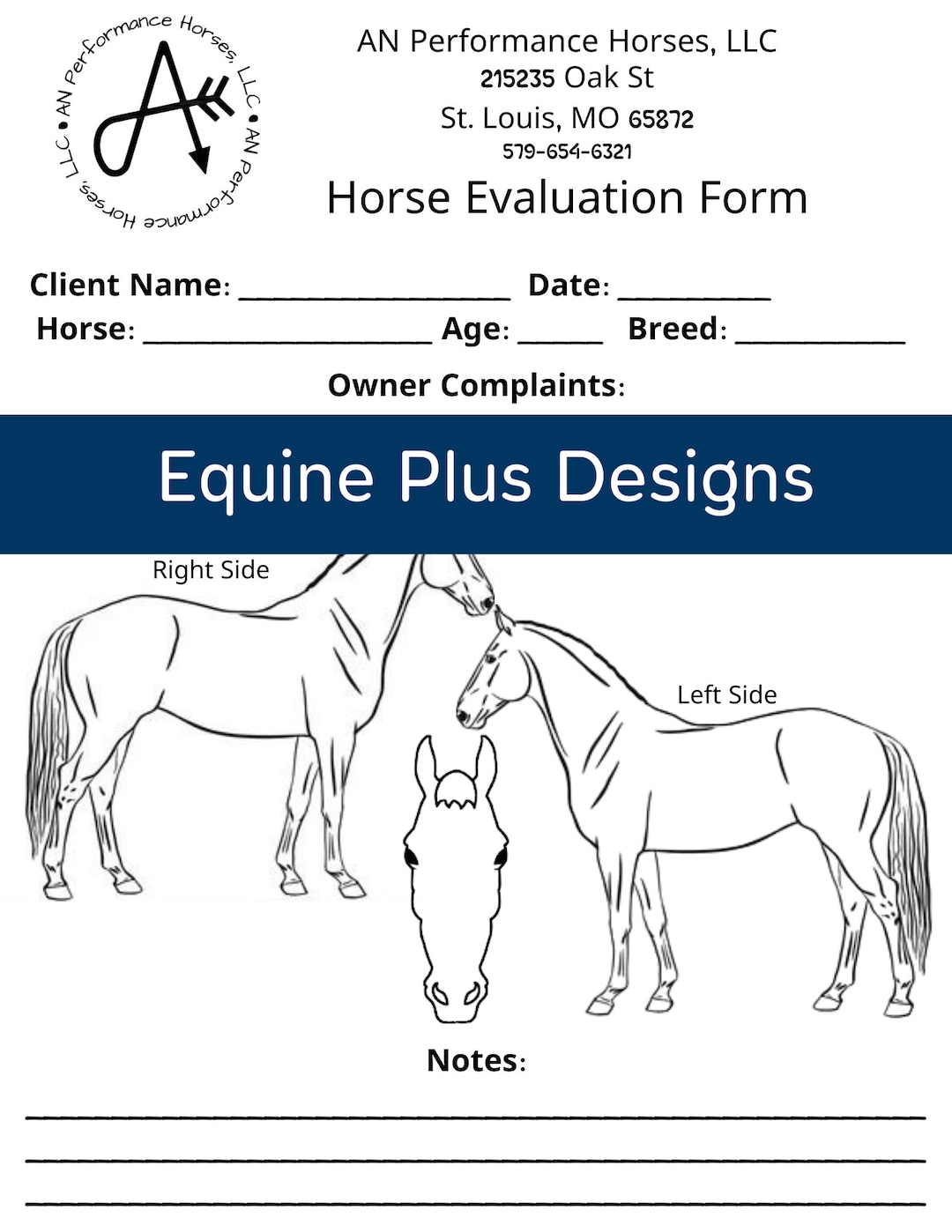 Customized Equine Evaluation Form for Bodyworkers, Veterinarians ...
