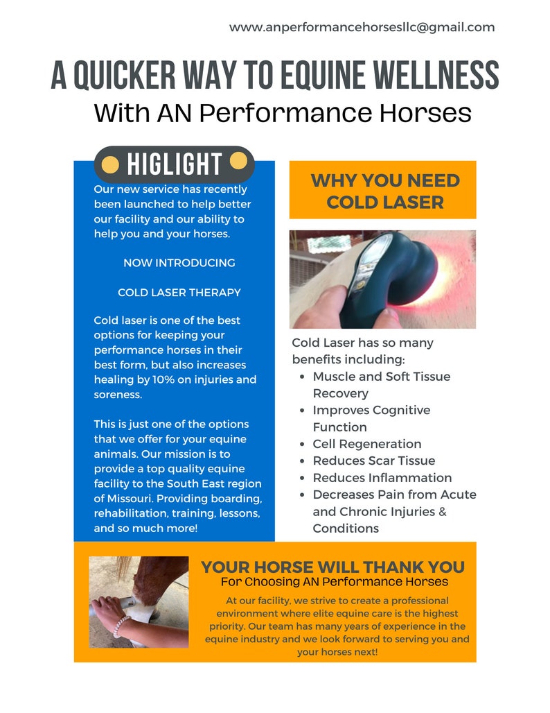 Custom Equine Business Flyer - Etsy