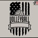 Volleyball American Flag SVG | Volleyball Flag SVG | Volleyball SVG ...
