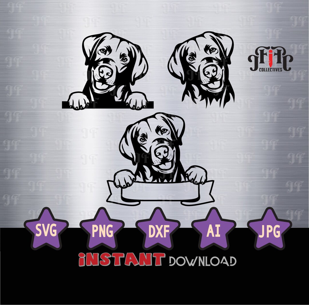 Labrador Peeking Svg | Dog Breed Clipart | Pet Cut File | Domestic ...