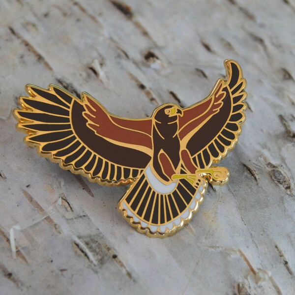 Harris Hawk - Etsy