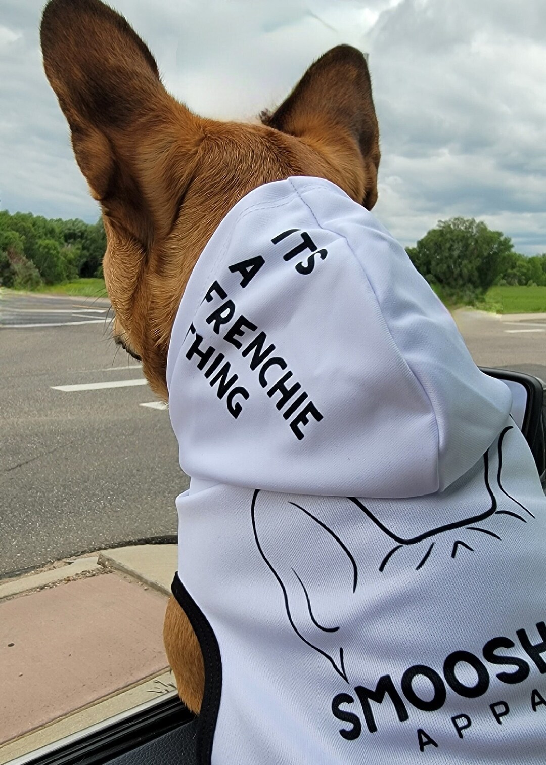 It's a Frenchie Thing Smoosh Face Apparels Logo Pet Hoodie - Etsy