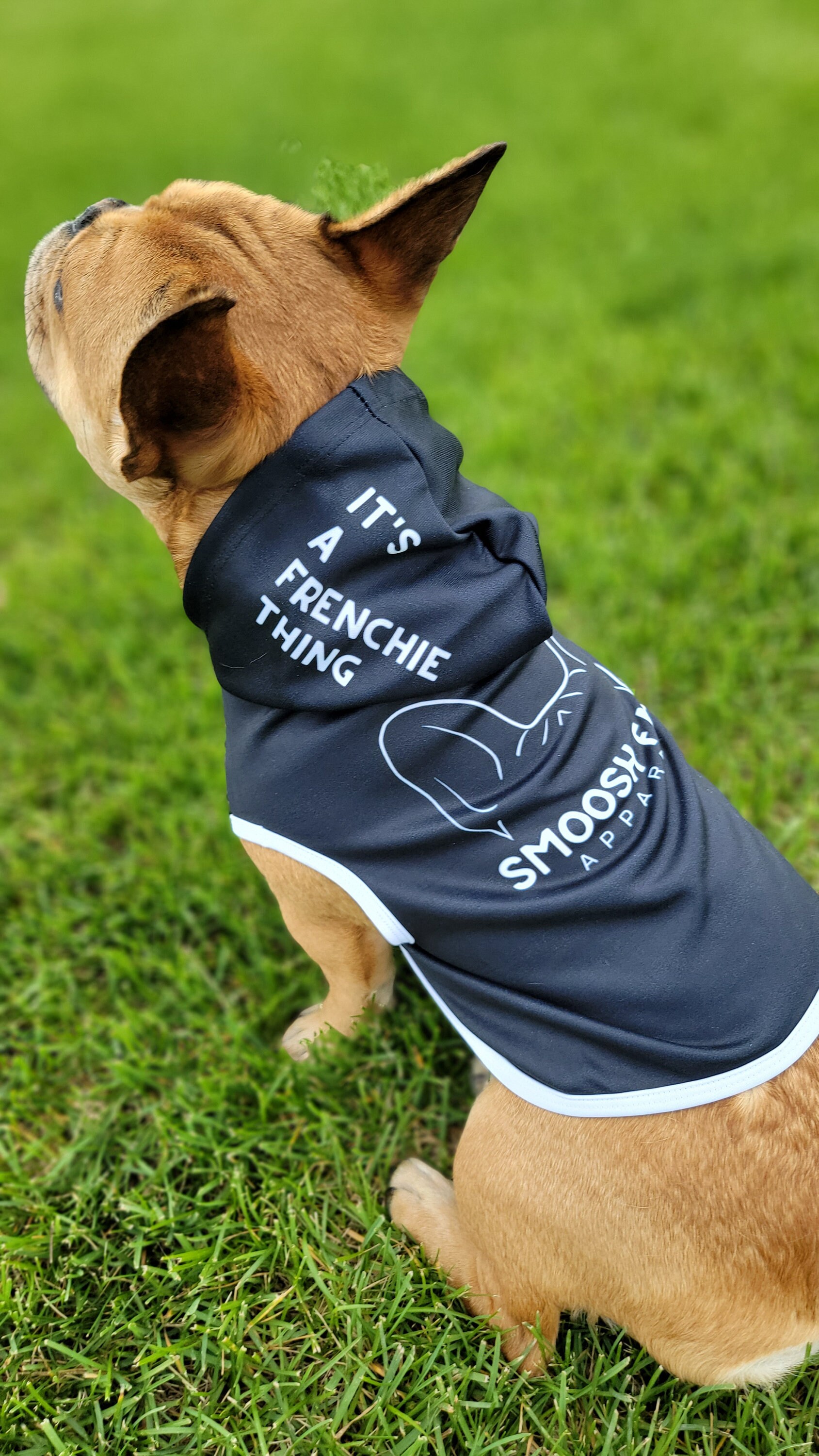 It's a Frenchie Thing Smoosh Face Apparels Logo Pet Hoodie - Etsy