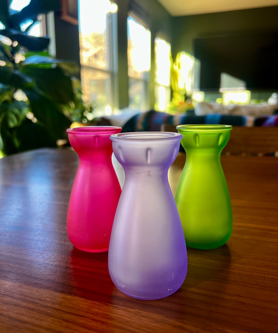 3 Vintage Crocus Flower Bulb Forcing Starter VASE Colored Glass Product ...