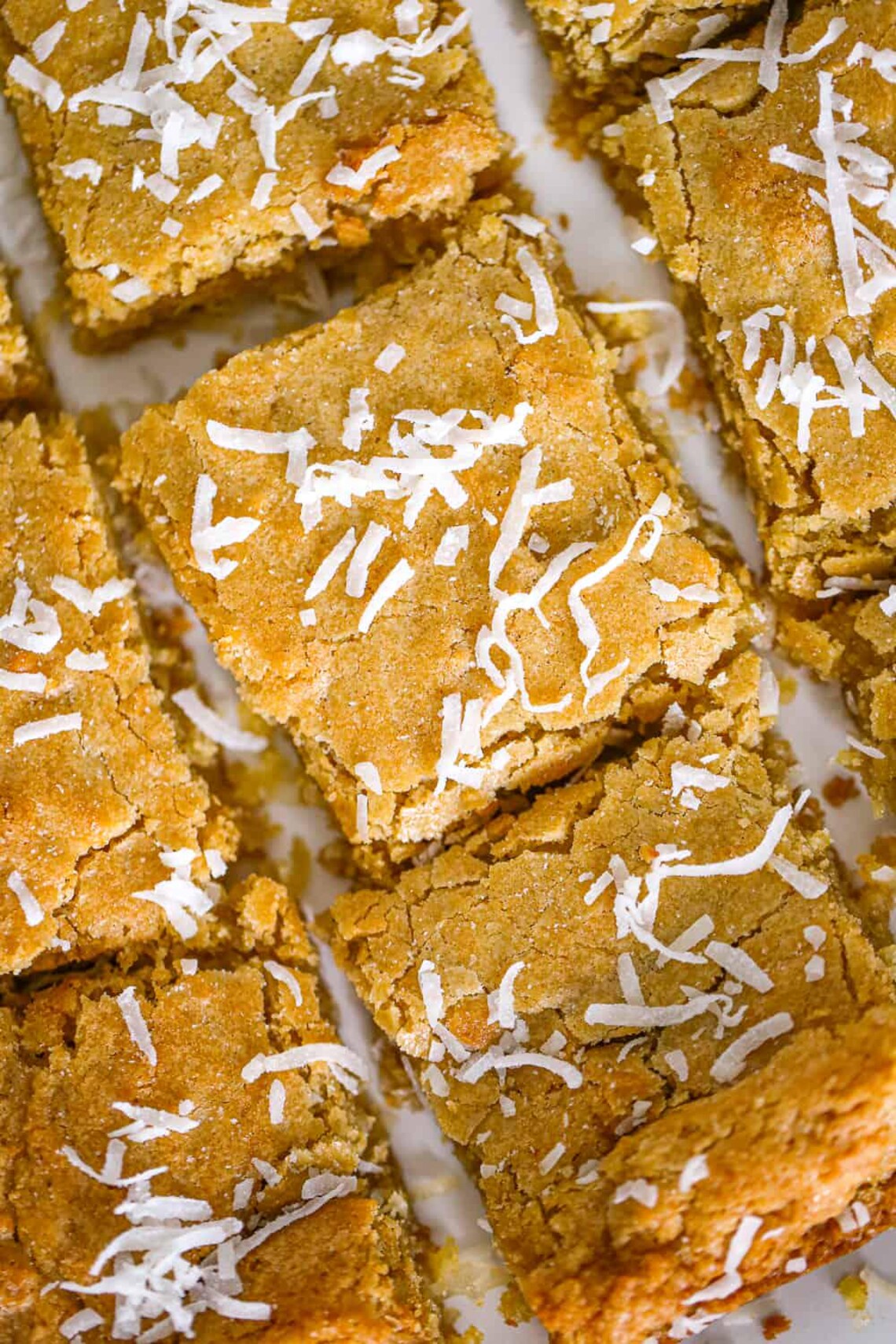 OMG Coconut Blondie Brownies PDF Recipe From Bake It Til You Make It ...