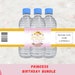 Princess Party Birthday Bundle Template Editable in Canva | Invitation ...