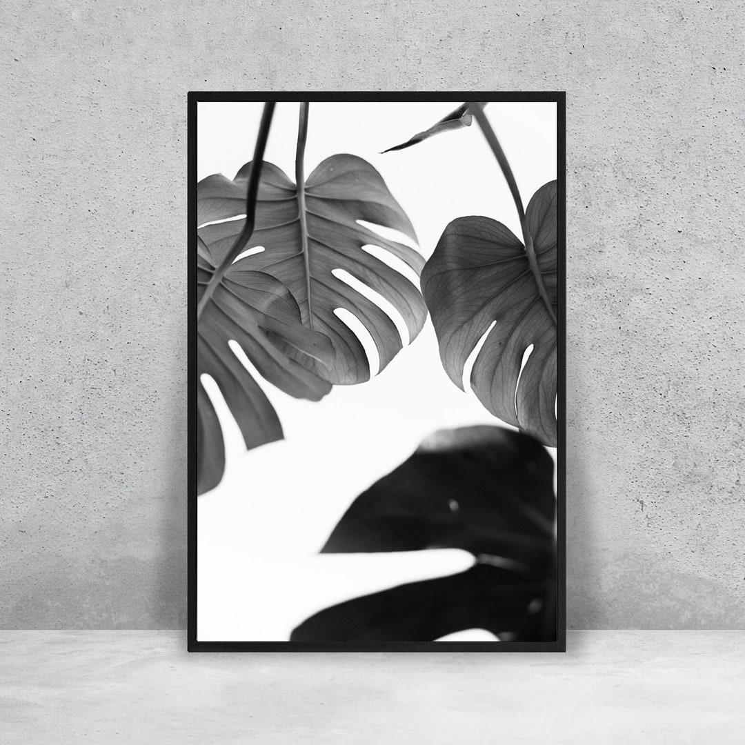 Large Botanical Wall Art for Nature Lover Botanical Print for - Etsy