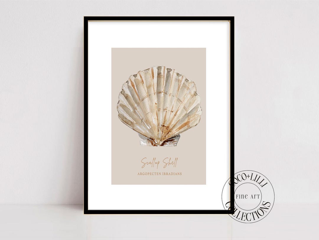 Watercolor Scallop Shell Print, Vintage Seashell Art, Coastal Beach ...