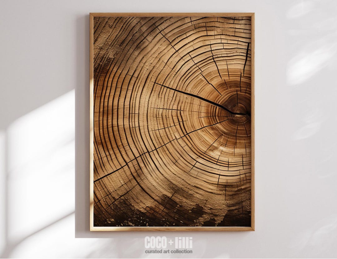 Tree Ring Framed Wall Art Nature Abstract Tree Ring Wall Decor Nordic ...