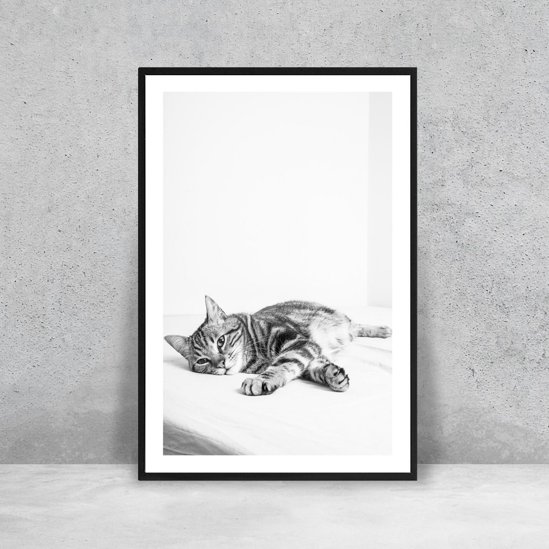 Tabby Cat Print for Cat Lover Wall Decor Pet Wall Art Gift for - Etsy