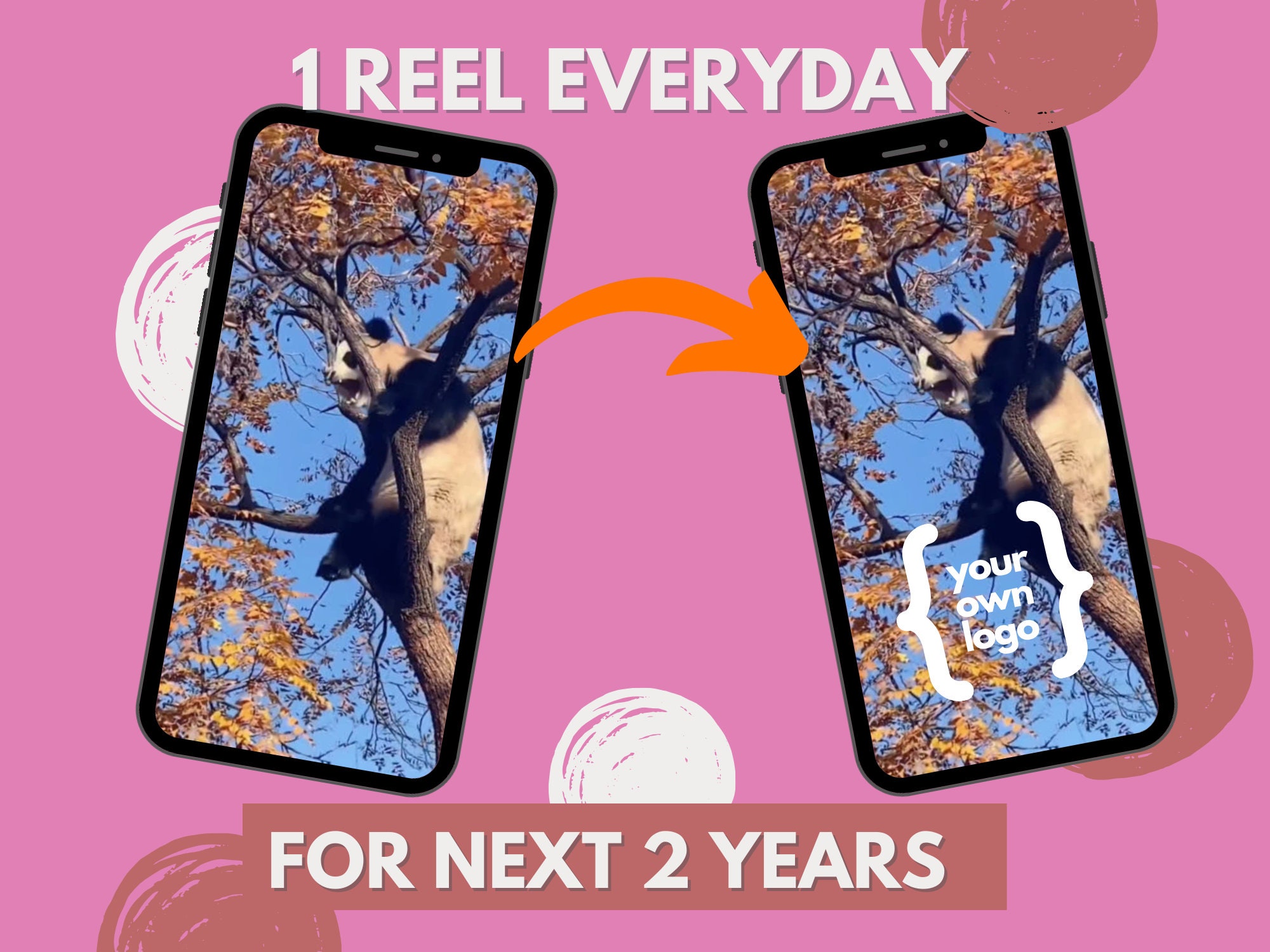 1000+ Cute Mesmerising Animal Reels | Instagram Reel | Shorts | Tiktok ...