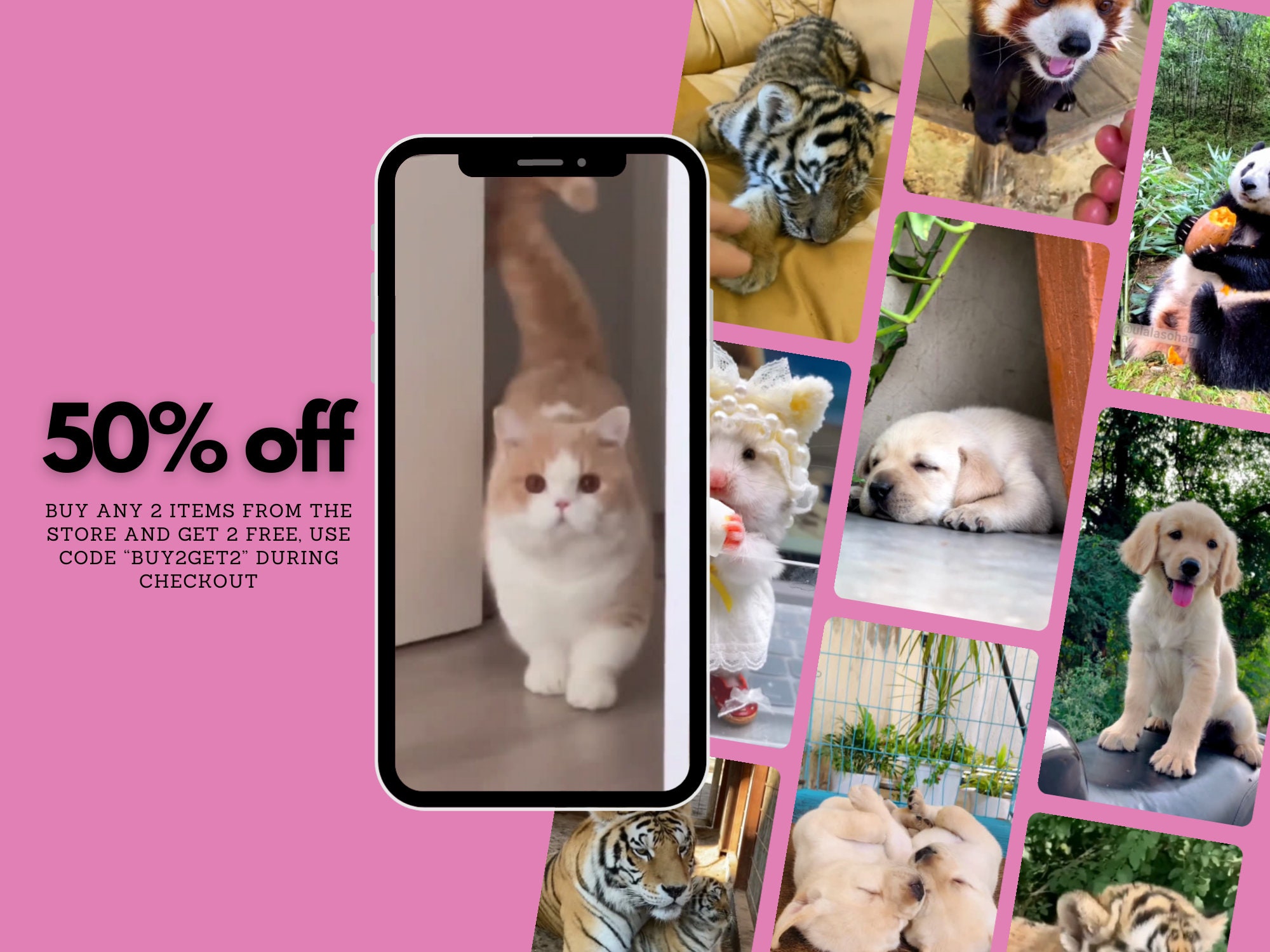1000+ Cute Mesmerising Animal Reels | Instagram Reel | Shorts | Tiktok ...