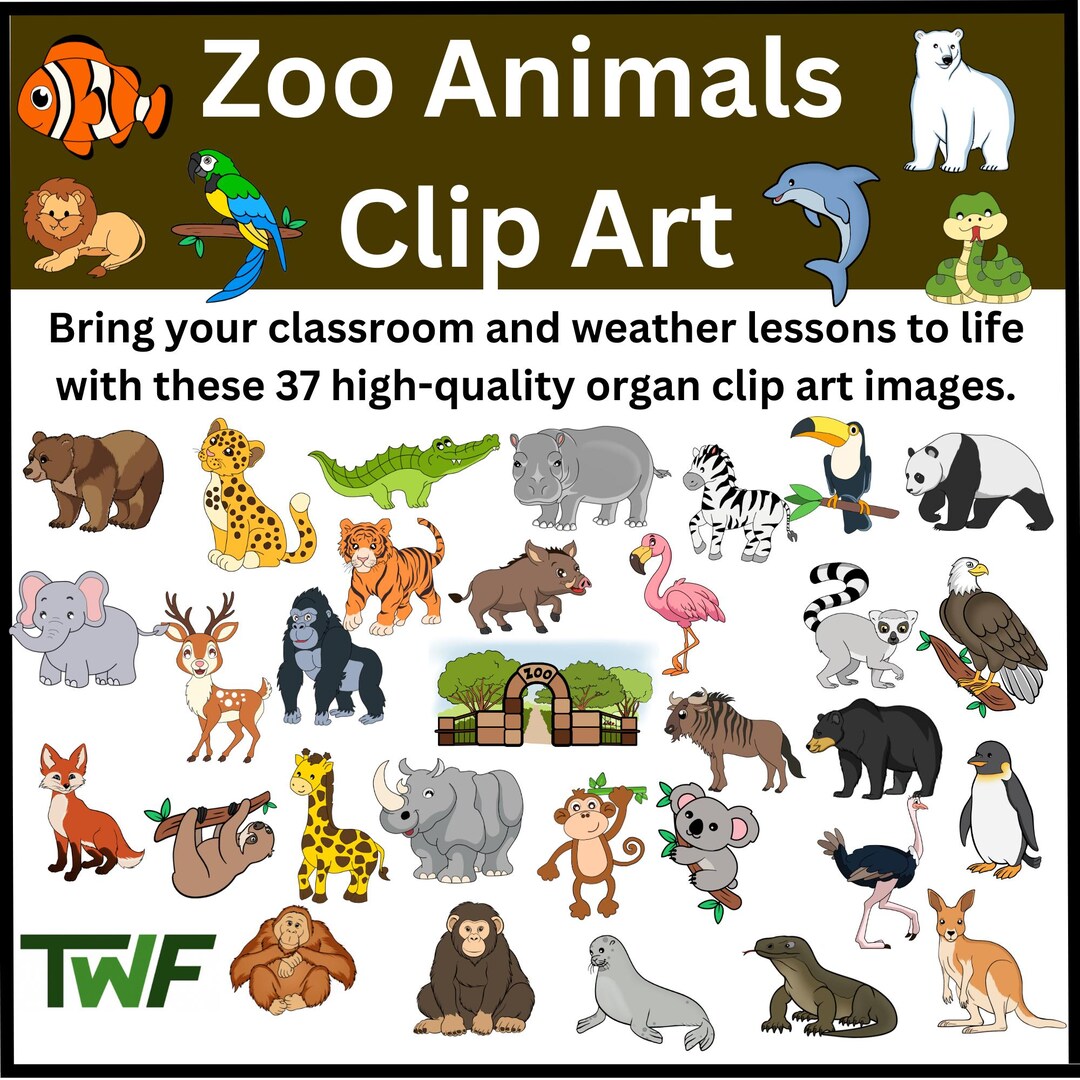 Zoo Animals Science and Anatomy Clip Art - Etsy