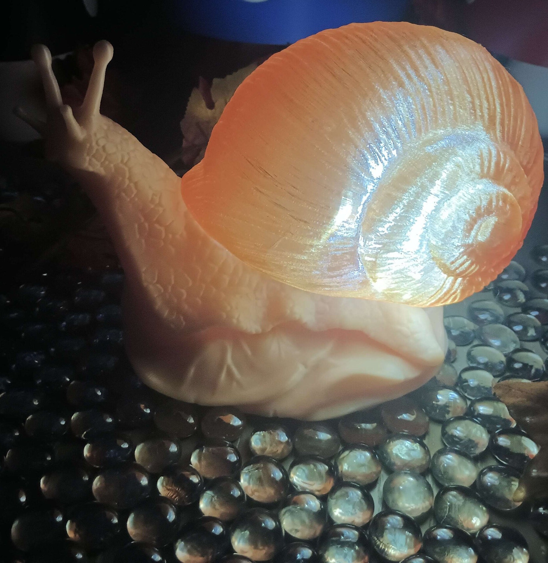 Snail Lamp Fun Decor Unique Decorations Décor Dinosaur - Etsy