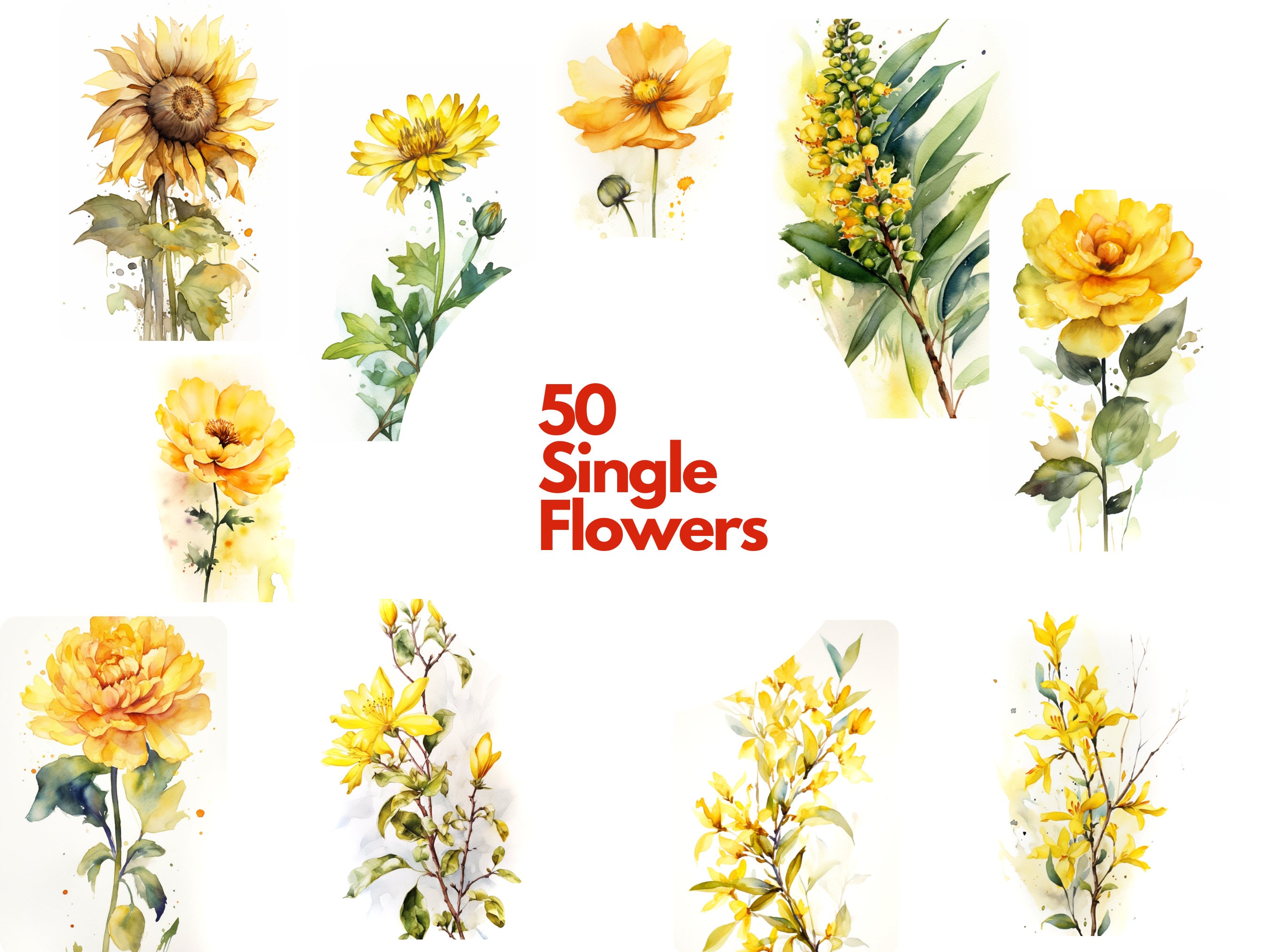 Yellow Botanical Clipart Bundle PNG Watercolor Violet Flowers Bundle ...