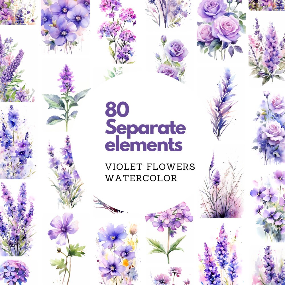 Purple Botanical Clipart Bundle PNG Watercolor Violet Flowers Bundle ...