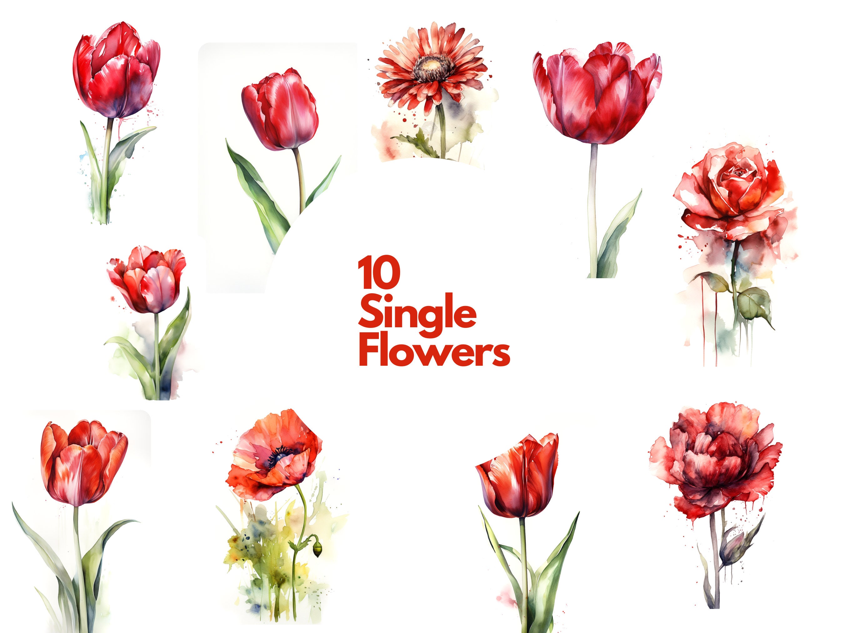 Red Botanical Clipart Bundle PNG Watercolor Red Flowers Bundle ...