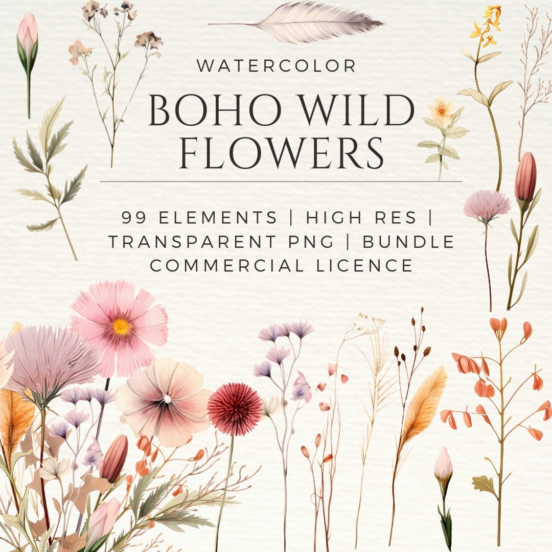 Wild Boho Flowers PNG Bundle Transparent Full Commercial License ...
