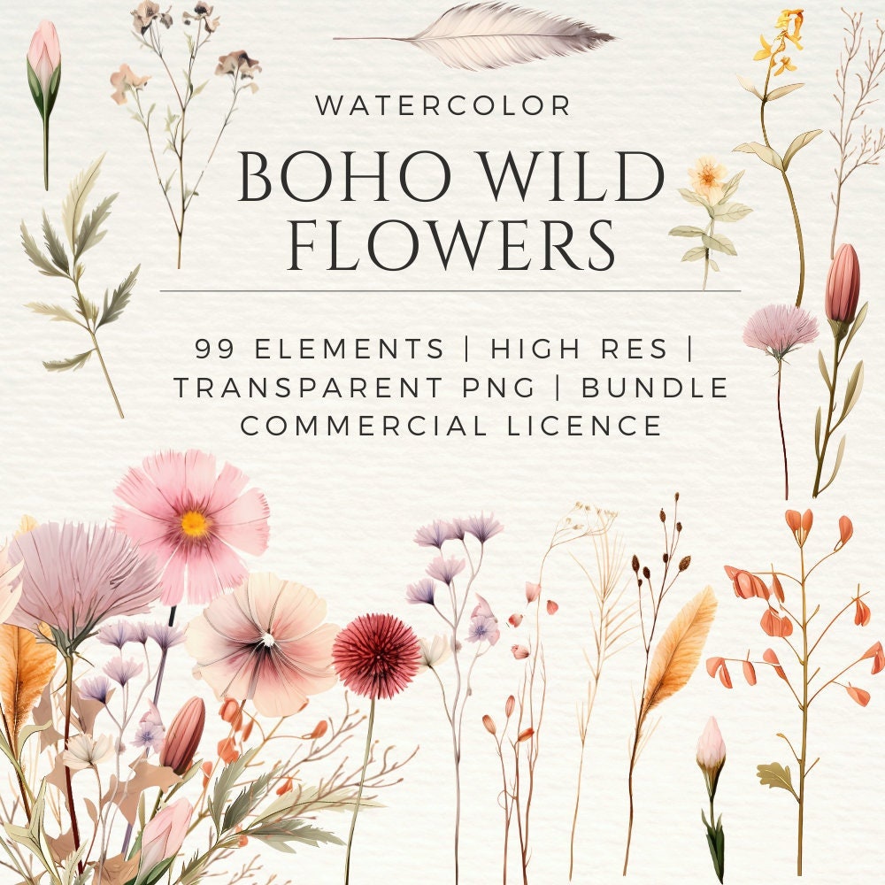 Wild Boho Flowers PNG Bundle Transparent Full Commercial License ...