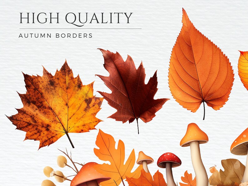 Watercolor Autumn Borders PNG Borders Autumn Leaves Clipart Premade ...