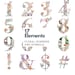 Watercolor Floral Numbers and Symbols Clipart PNG Bundle Floral Clip ...