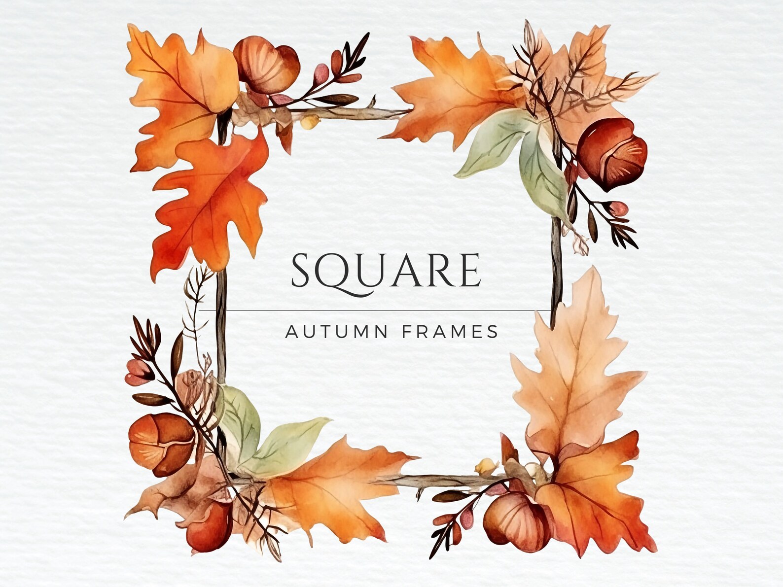 Autumn Frames PNG Bundle Transparent Full Commercial License Watercolor ...