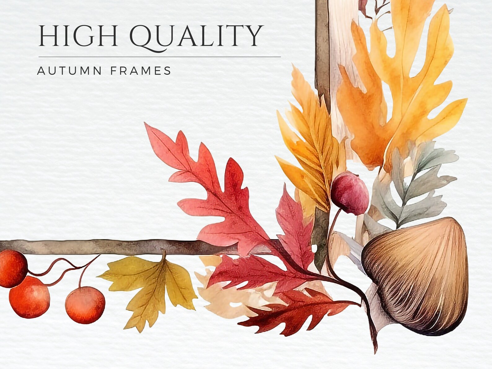 Autumn Frames PNG Bundle Transparent Full Commercial License Watercolor ...